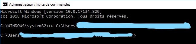 [Résolu] Problème d'exécution script Python sur Windows 10 - Unable to create process using 'C ...